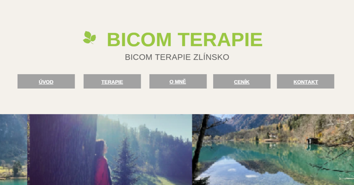 BICOM TERAPIE